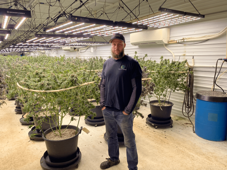Maine Marijuana Magnate Denied Review by U.S. Supreme Court, Now Faces ...