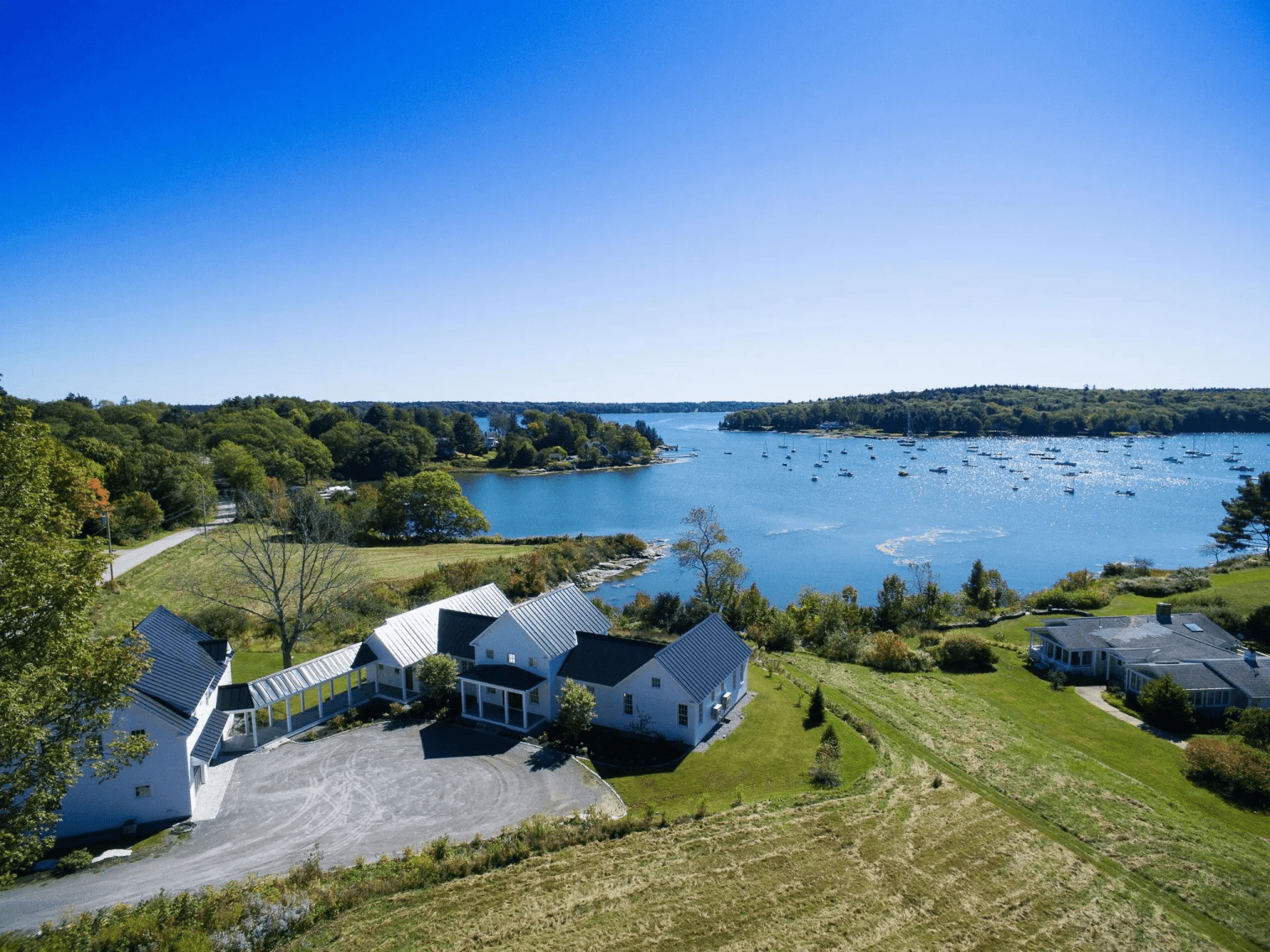 Progressive Democrat Running to Unseat Susan Collins Boasts $1 Million ...