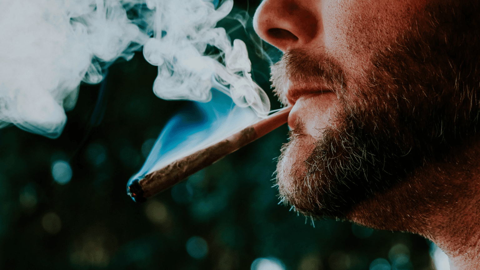 Steve Robinson, Author at The Maine Wire