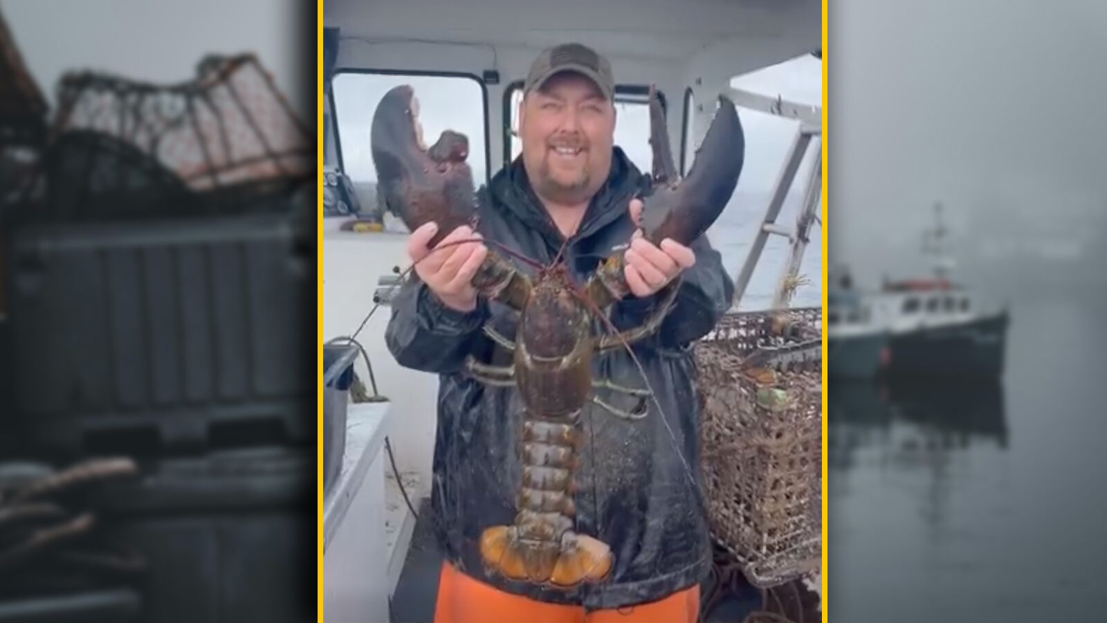 Sea Monster: GOP Minority Leader Snares Biggest-Ever Bug He's Seen ...