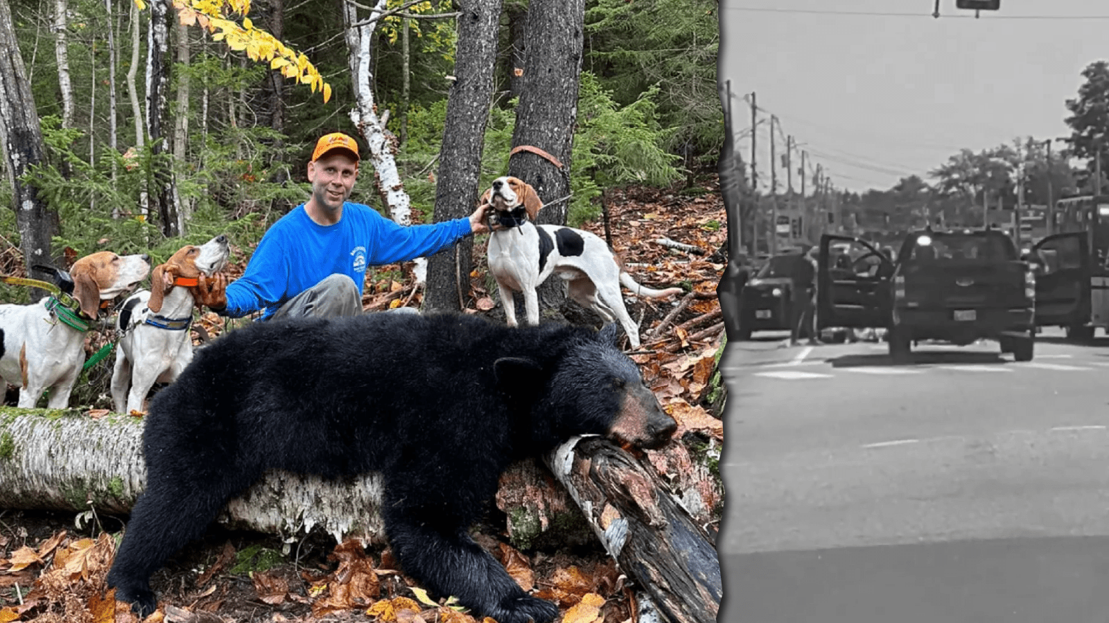Armed Hero Maine Guide Chased Down The Windham Killer, 'But I Couldn't ...