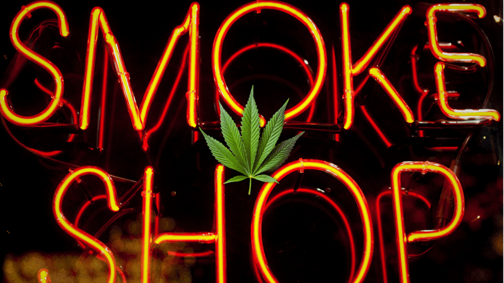 Steve Robinson, Author at The Maine Wire