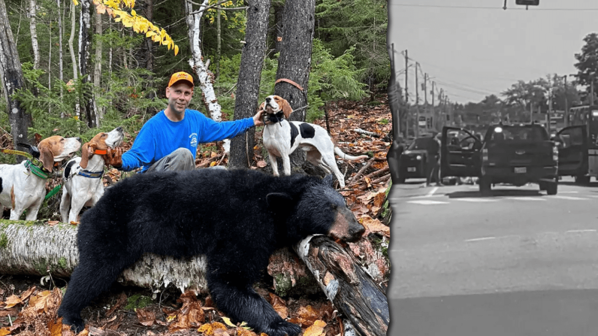 Armed Hero Maine Guide Chased Down The Windham Killer, 'But I Couldn't ...