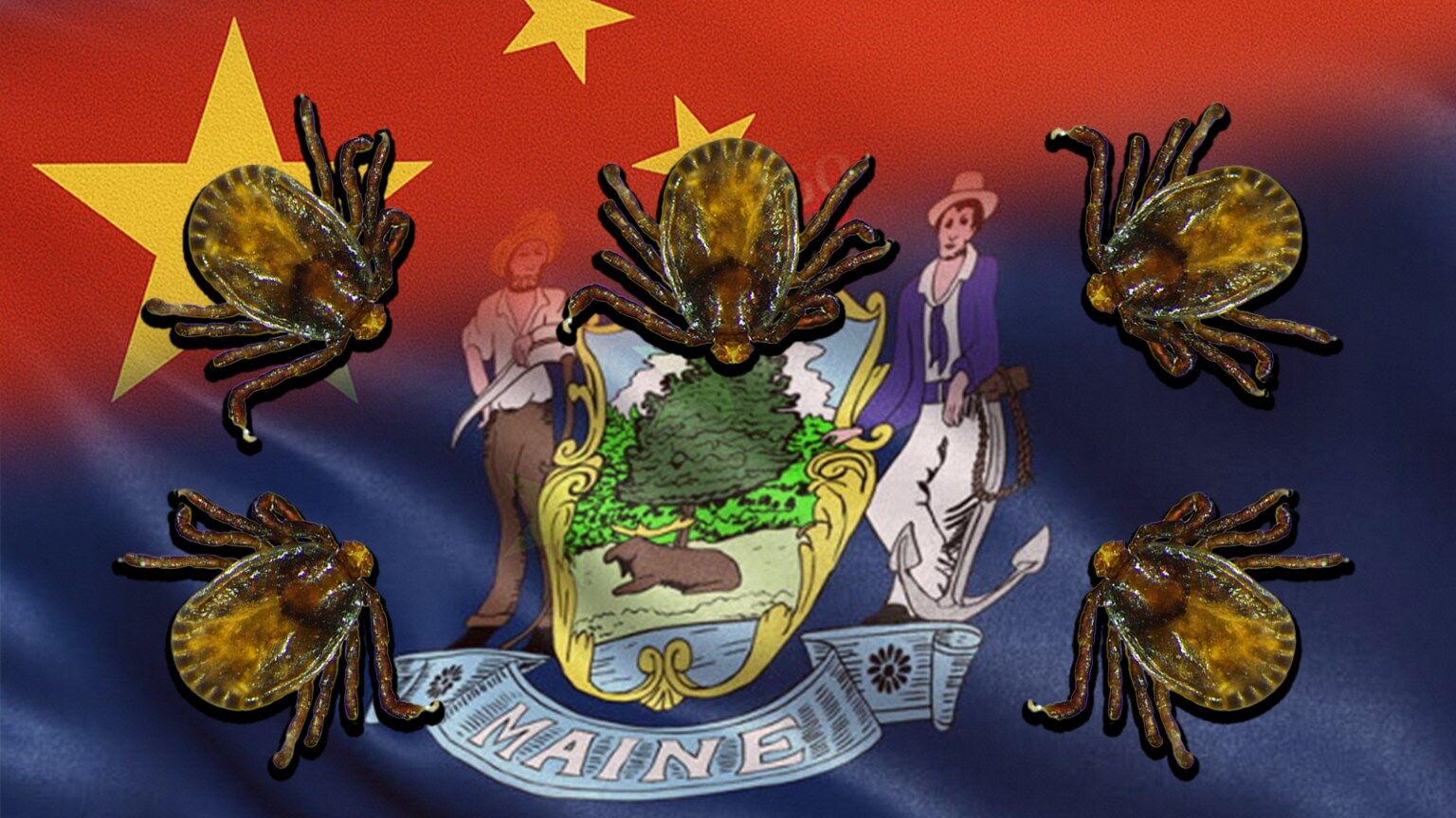 New Invasive Tick Species from China Capable of Creating Infestations ...