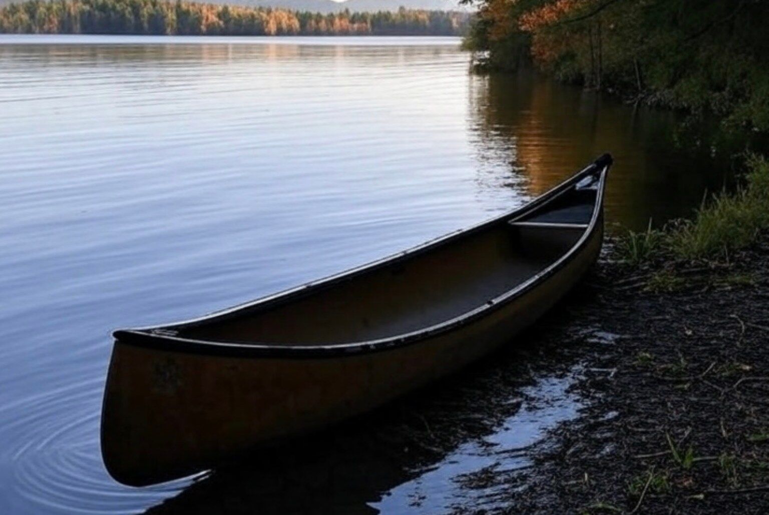 Steve Robinson, Author at The Maine Wire