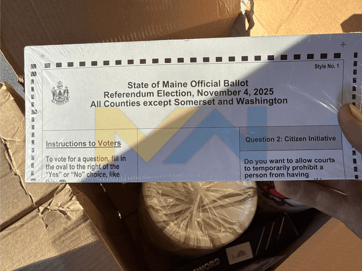 Maine Woman Discovers Hundreds of Election Ballots in Amazon Package as ...