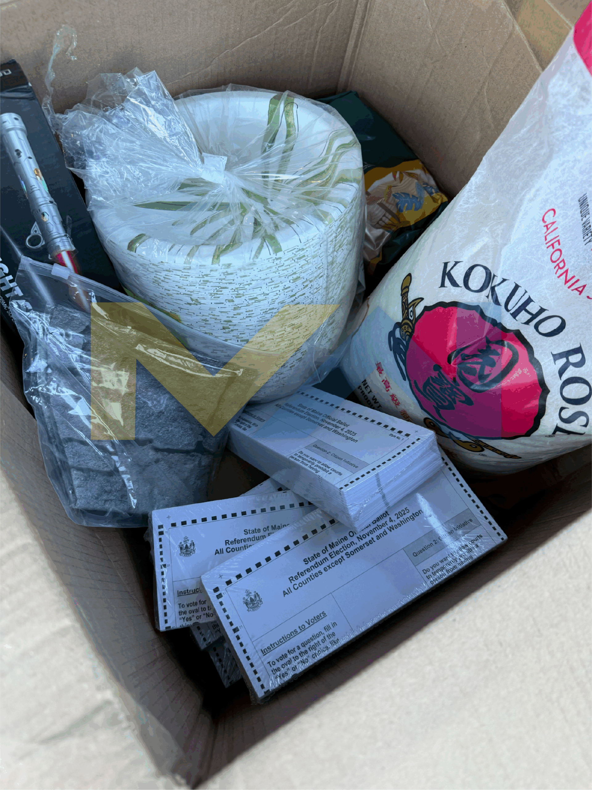 Steve Robinson, Author at The Maine Wire