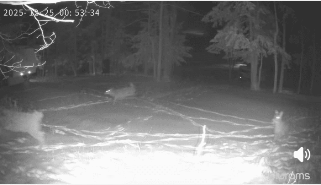 State Remains Silent on Proceedings in Sunny Stewart's Murder Case ...